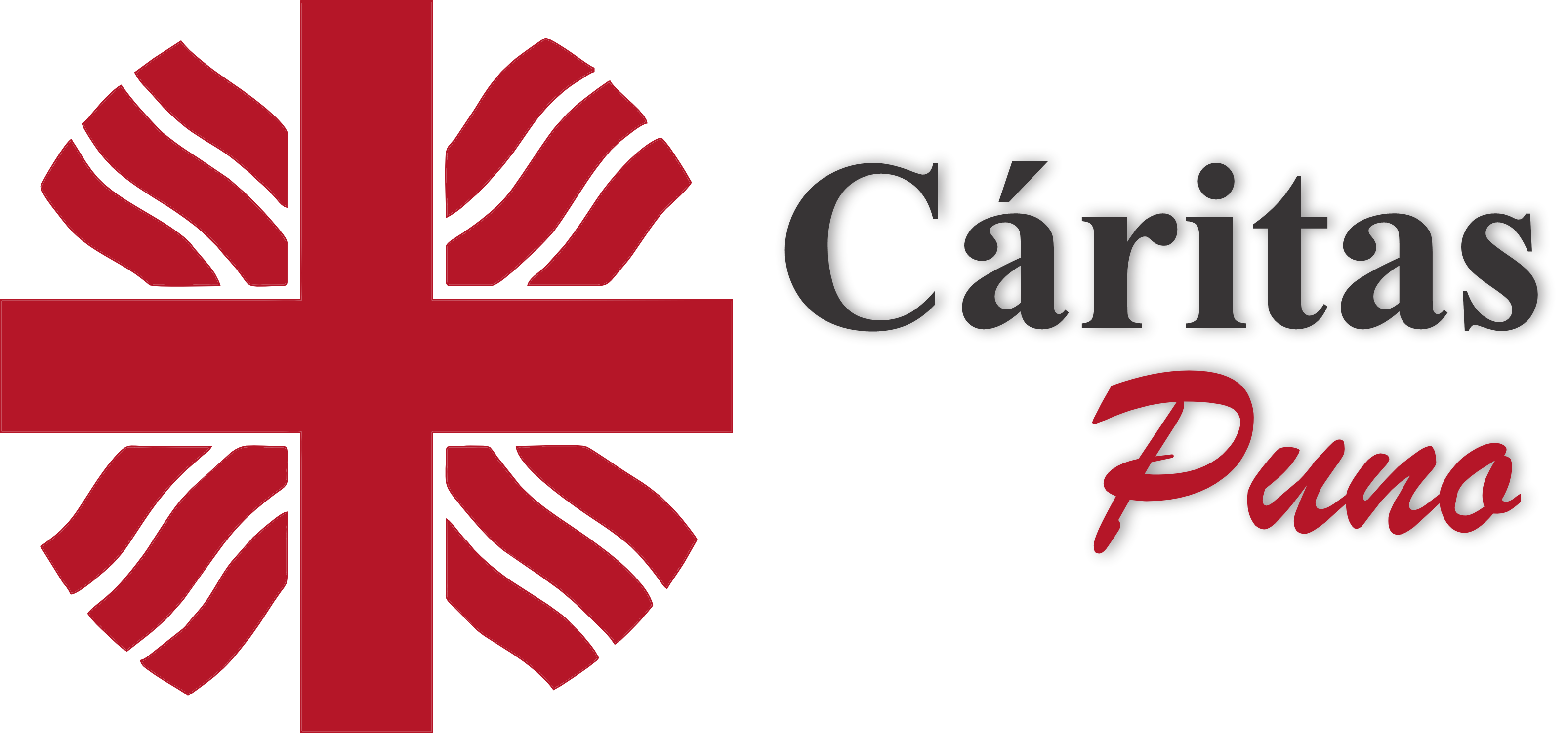 “ASISTENTE COMUNITARIO” | Cáritas Puno | Reclutar.ai